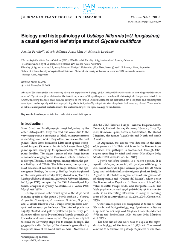 (PDF) Biology and histopathology of Ustilago filiformis (=U. longissima ...