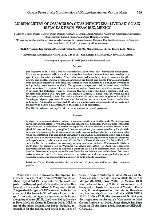 (PDF) García-Pérez et al.: Morphometry of Diaphorina citri on Various ...