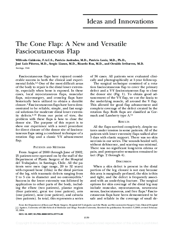 (PDF) The Cone Flap: A New and Versatile Fasciocutaneous Flap