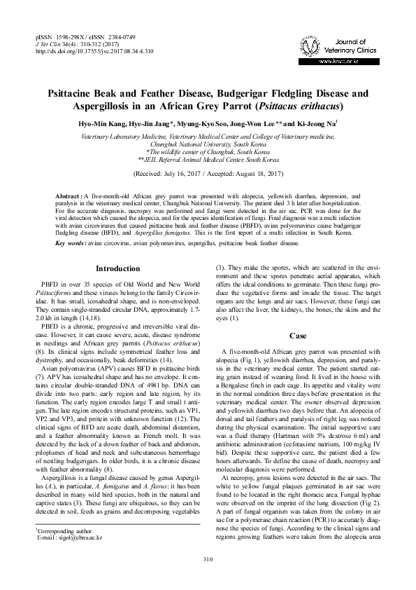 (PDF) Psittacine Beak and Feather Disease, Budgerigar Fledgling Disease ...