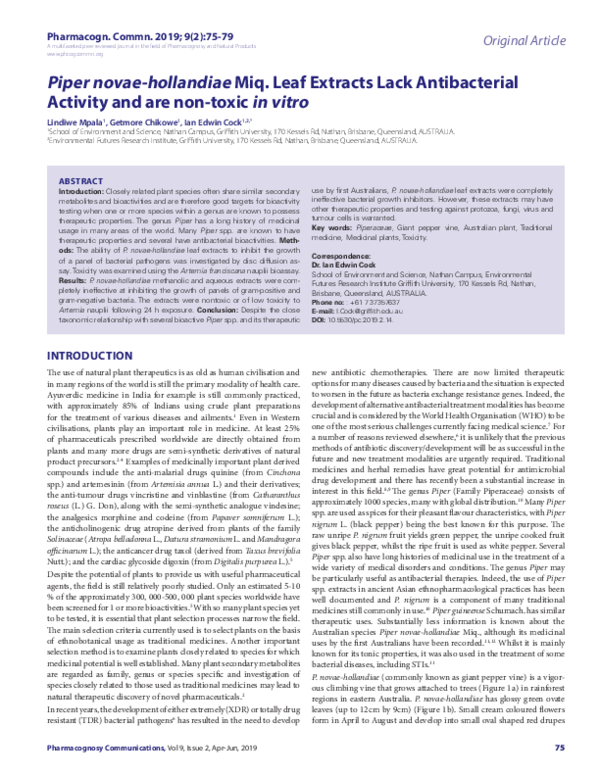 (PDF) Piper novae-hollandiae Miq. Leaf Extracts Lack Antibacterial ...
