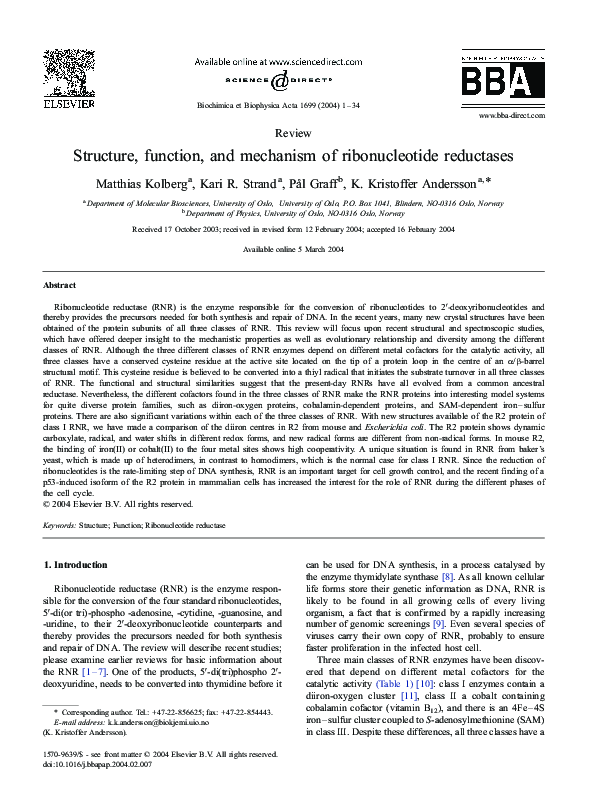 (PDF) Structure, function, and mechanism of ribonucleotide reductases