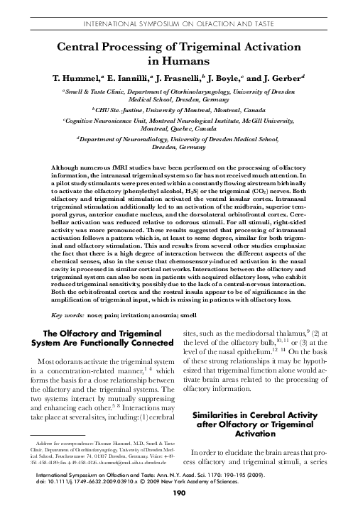 (PDF) Central Processing of Trigeminal Activation in Humans | Emilia Iannilli - Academia.edu