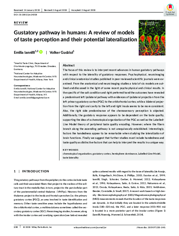 (PDF) Gustatory pathway in humans: A review of models of taste ...