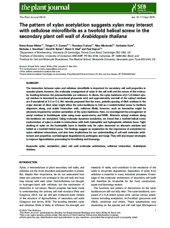 (PDF) The pattern of xylan acetylation suggests xylan may interact with ...