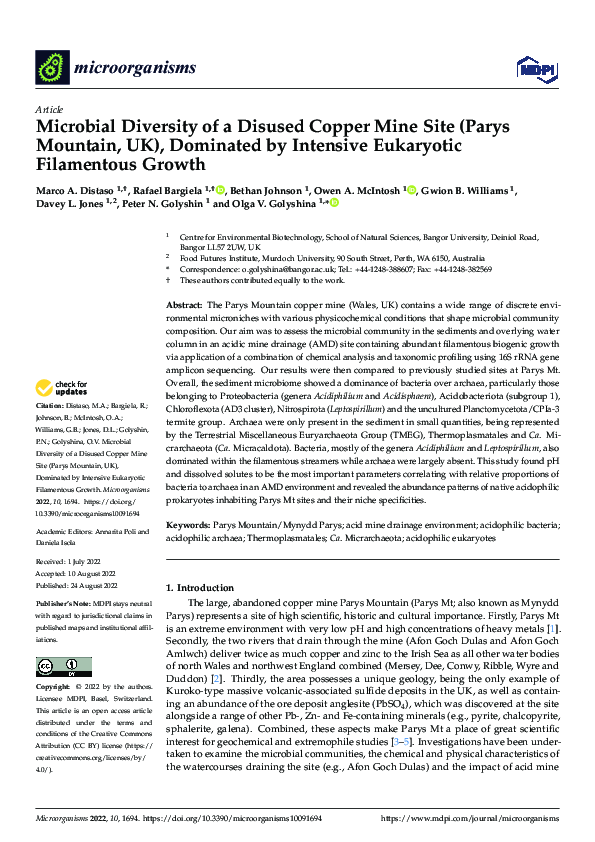 (PDF) Microbial Diversity of a Disused Copper Mine Site (Parys Mountain ...