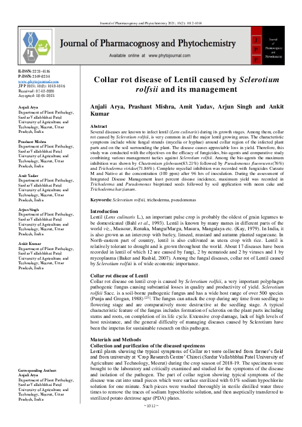 (PDF) Collar rot disease of Lentil caused by Sclerotium rolfsii and its management