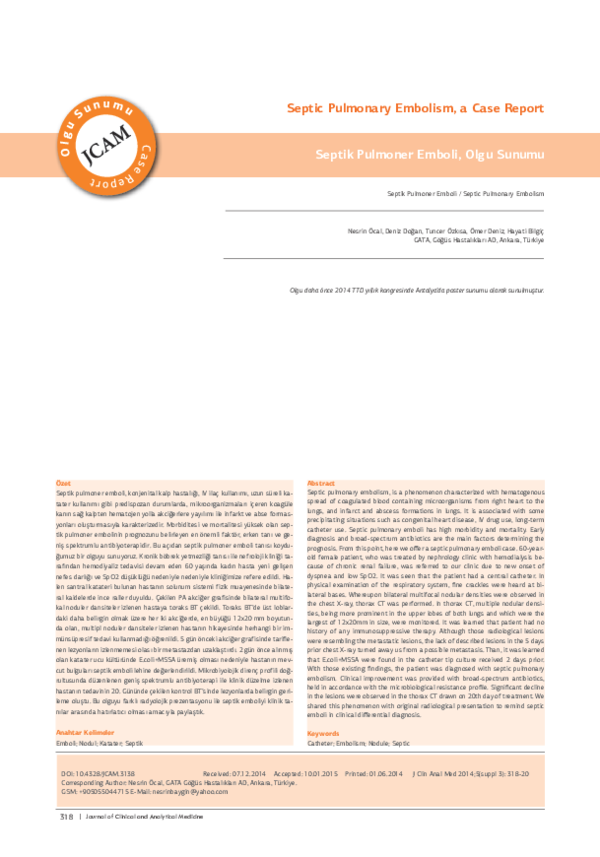 (PDF) Septic Pulmonary Embolism Associated with Renal Abscess: A Case ...