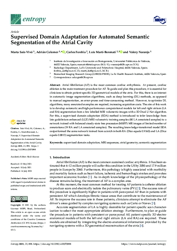 (PDF) Supervised Domain Adaptation for Automated Semantic Segmentation ...