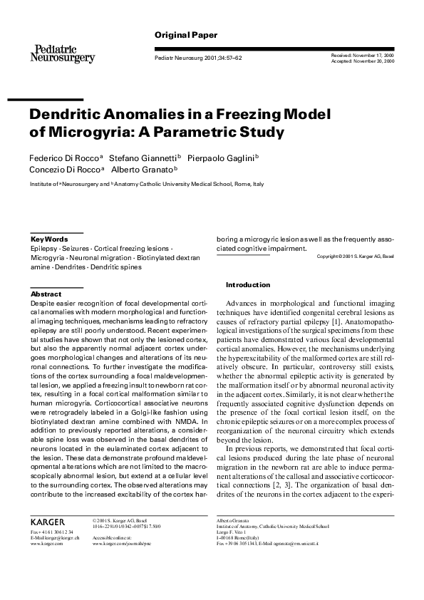 (PDF) Dendritic Anomalies in a Freezing Model of Microgyria: A ...