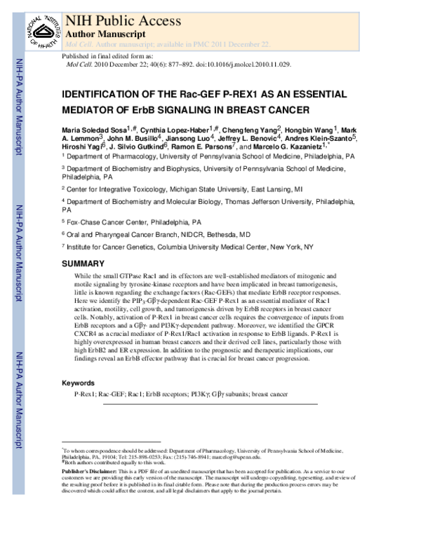 (PDF) Identification of the Rac-GEF P-Rex1 as an Essential Mediator of ...