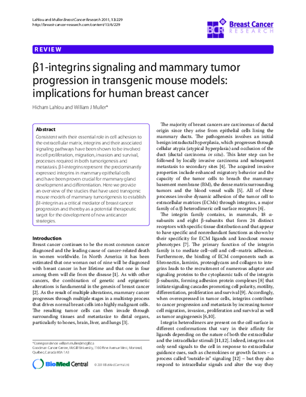 (PDF) Β1-INTEGRINS Signaling and Mammary Tumor Progression in ...