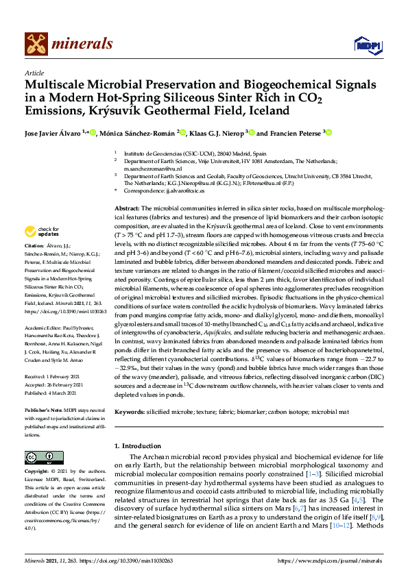 Multiscale Microbial Preservation and Biogeochemical Signals in a ...