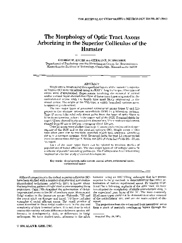 (PDF) The morphology of optic tract axons arborizing in the superior ...