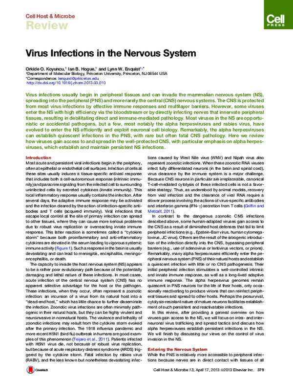 (PDF) Virus Infections in the Nervous System