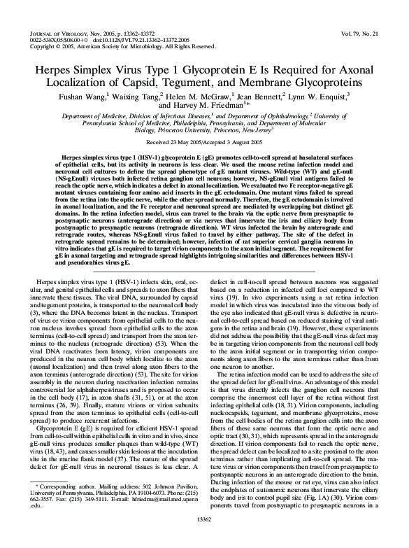(PDF) Herpes Simplex Virus Type 1 Glycoprotein E Is Required for Axonal ...