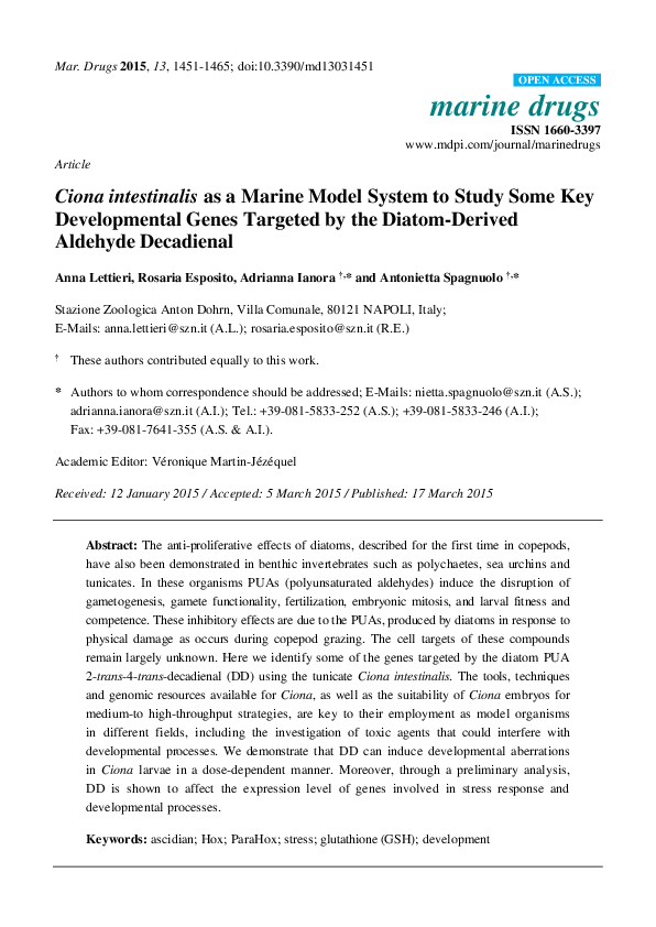 (PDF) Ciona intestinalis as a Marine Model System to Study Some Key ...