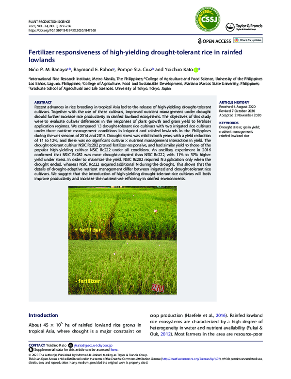 (PDF) Fertilizer responsiveness of high-yielding drought-tolerant rice in rainfed lowlands