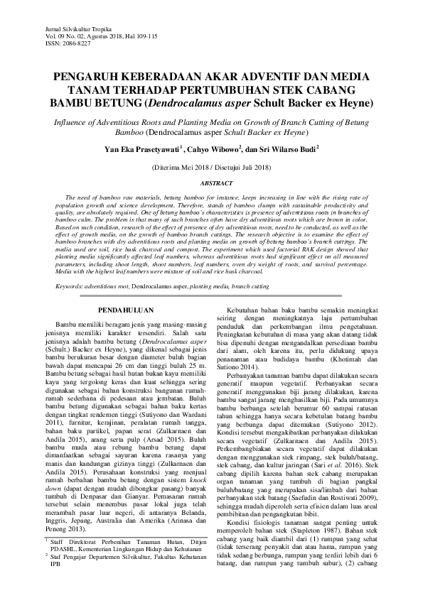 (PDF) PENGARUH KEBERADAAN AKAR ADVENTIF DAN MEDIA TANAM TERHADAP ...