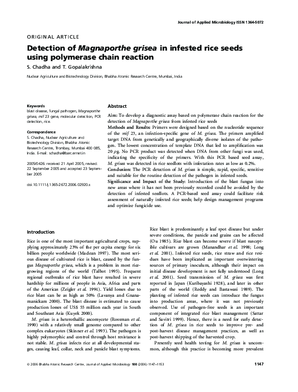 (PDF) Detection of Magnaporthe grisea in infested rice seeds using ...