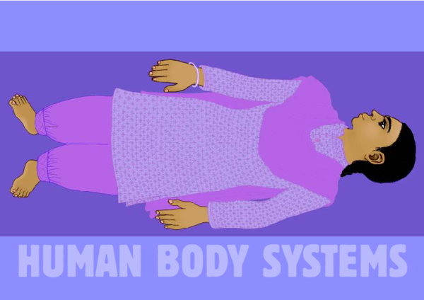 (PDF) Human body systems (1)