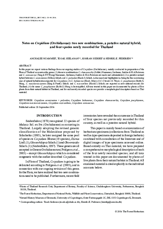 (PDF) Notes on Crepidium (Orchidaceae): two new combinations, a ...