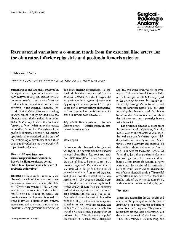 (PDF) Rare arterial variation: a common trunk from the external iliac ...