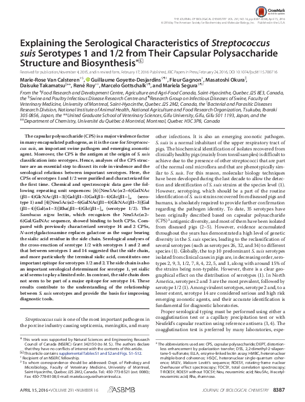 (PDF) Explaining the Serological Characteristics of Streptococcus suis ...