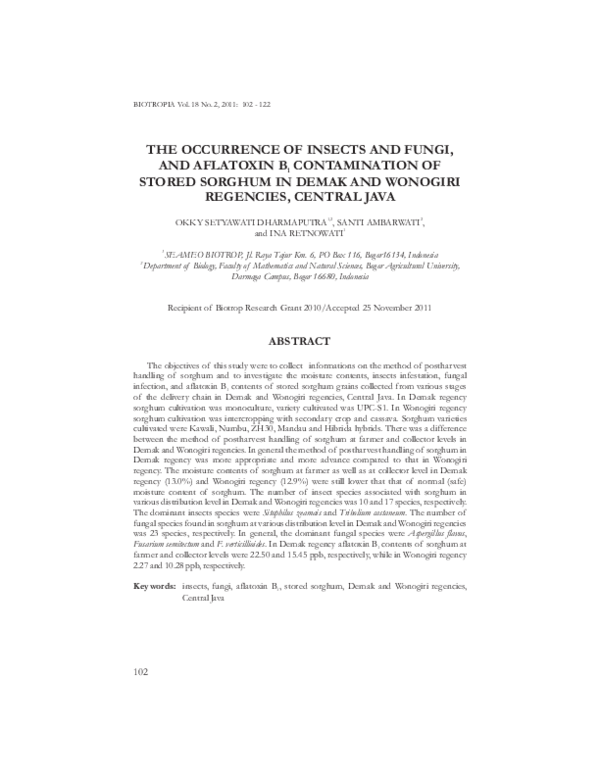 (PDF) The Occurrence of Insects and Fungi, and Aflatoxin B Contamination of Stored Sorghum in ...