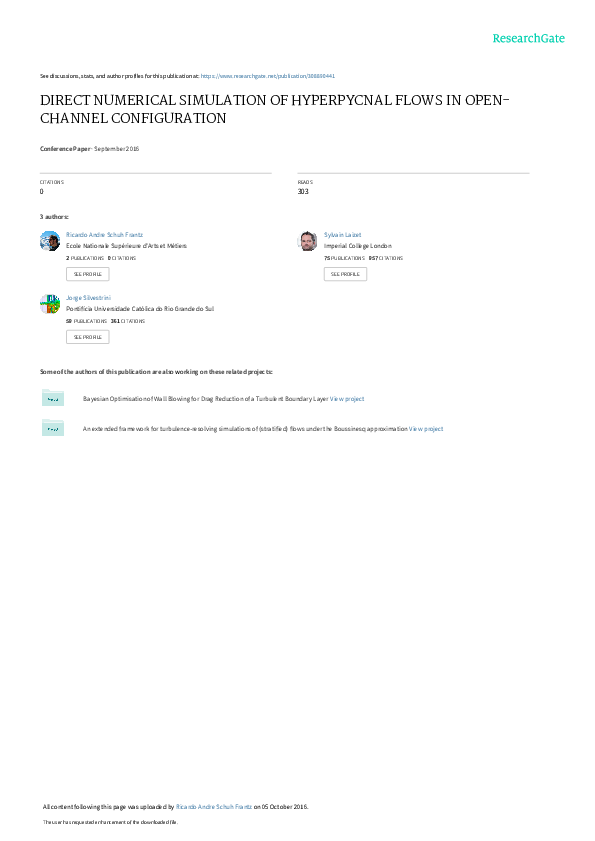 (PDF) Direct numerical simulation of hyperpycnal flows in open-channel configuration