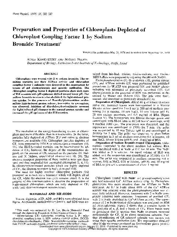 (PDF) Preparation and Properties of Chloroplasts Depleted of ...