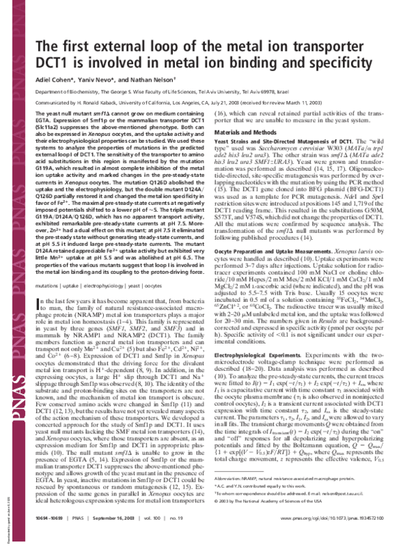 (PDF) The first external loop of the metal ion transporter DCT1 is involved in metal ion binding ...