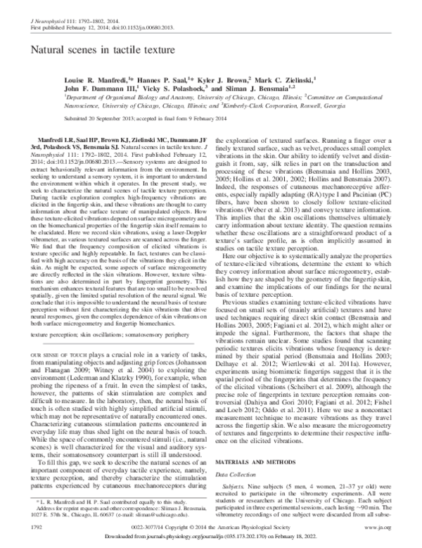 (PDF) Natural scenes in tactile texture