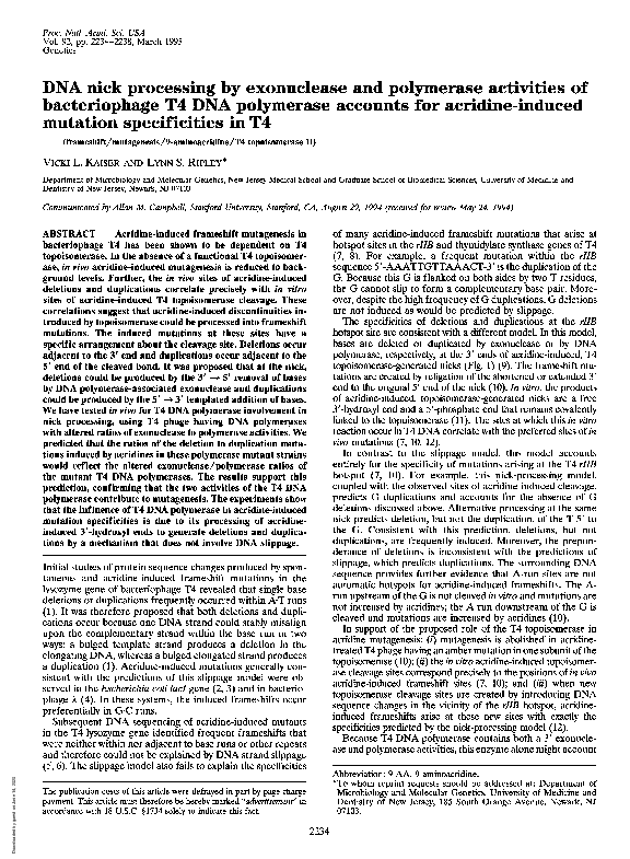 (PDF) DNA nick processing by exonuclease and polymerase activities of ...