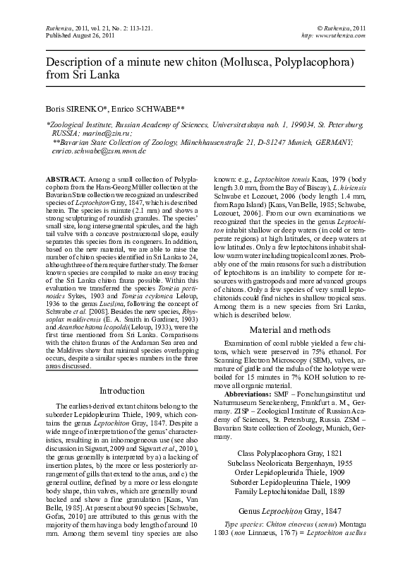 (PDF) Description of a minute new chiton (Mollusca, Polyplacophora ...