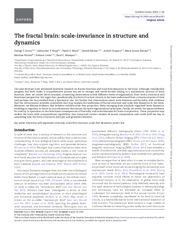 (PDF) The fractal brain: scale-invariance in structure and dynamics