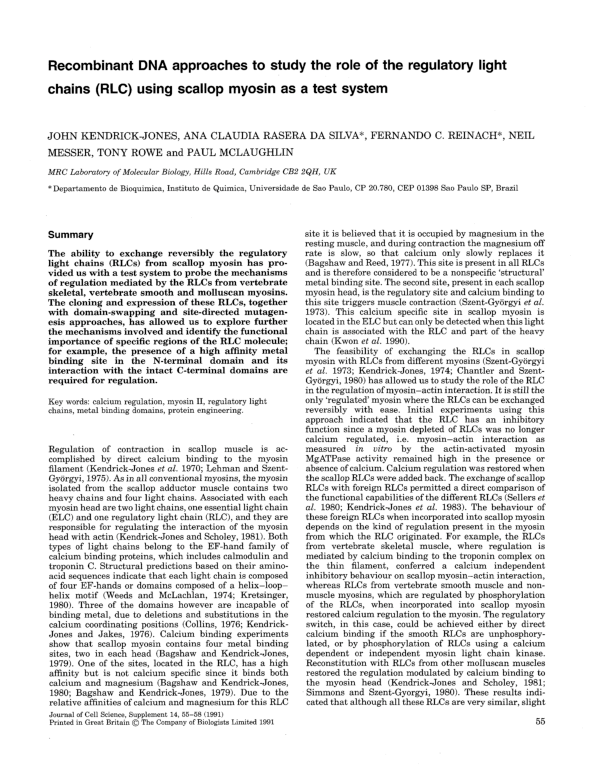 (PDF) Recombinant DNA approaches to study the role of the regulatory ...