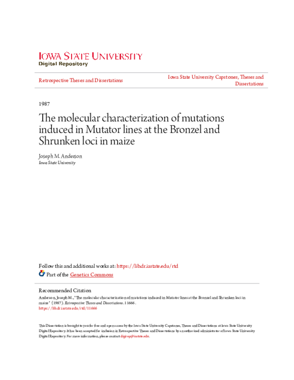 (PDF) The molecular characterization of mutations induced in Mutator ...