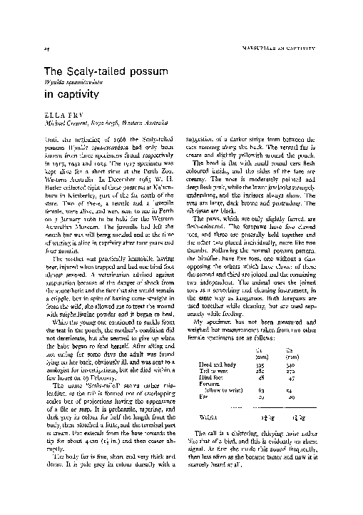 (PDF) The Scaly-tailed possum in captivity | Ella Fry - Academia.edu
