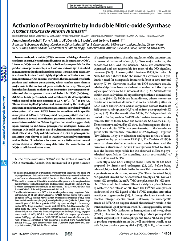 (PDF) iNOS Activation of Peroxynitrite Dynamics