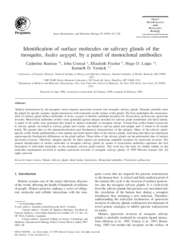 (PDF) Identification of surface molecules on salivary glands of the mosquito, Aedes aegypti, by ...