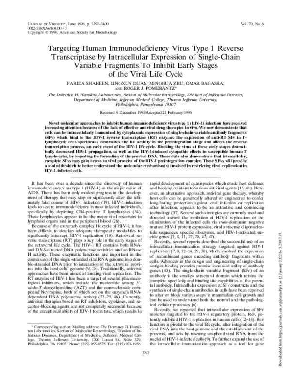 (PDF) Transcriptase by Intracellular Expression of Single-Chain ...
