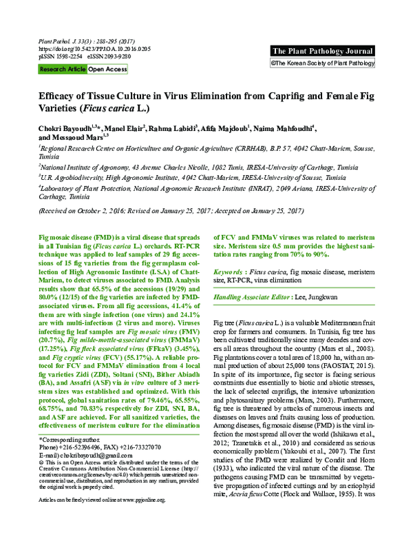 (PDF) Efficacy of Tissue Culture in Virus Elimination from Caprifig and Female Fig Varieties ...