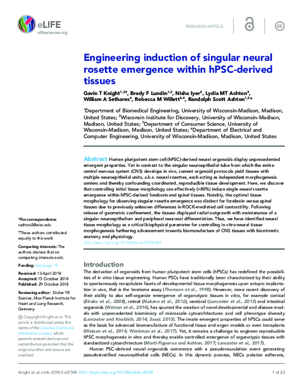 (PDF) Engineering induction of singular neural rosette emergence within ...