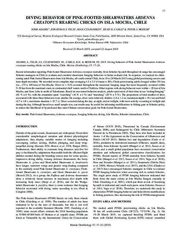 (PDF) Diving behavior of Pink-footed Shearwaters Ardenna creatopus ...