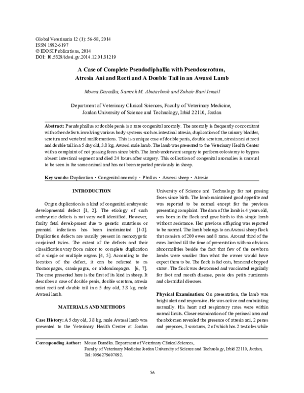 (PDF) A case of freemartin with atresia recti and ani in Japanese Black ...