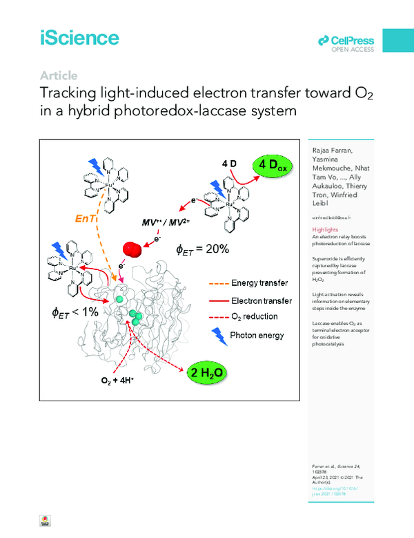 (PDF) Tracking light-induced electron transfer toward O2 in a hybrid ...