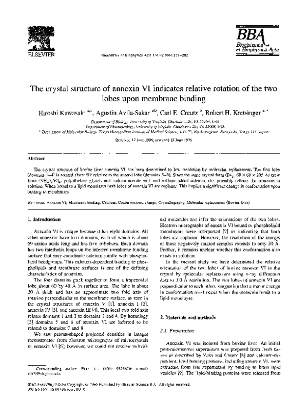 (PDF) The crystal structure of annexin VI indicates relative rotation ...