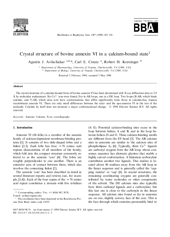 (PDF) Crystal structure of bovine annexin VI in a calcium-bound state