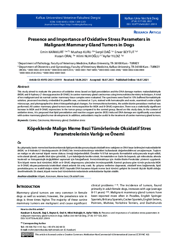 (PDF) Köpeklerde Malign Meme Bezi Tümörlerinde Oksidatif Stres ...